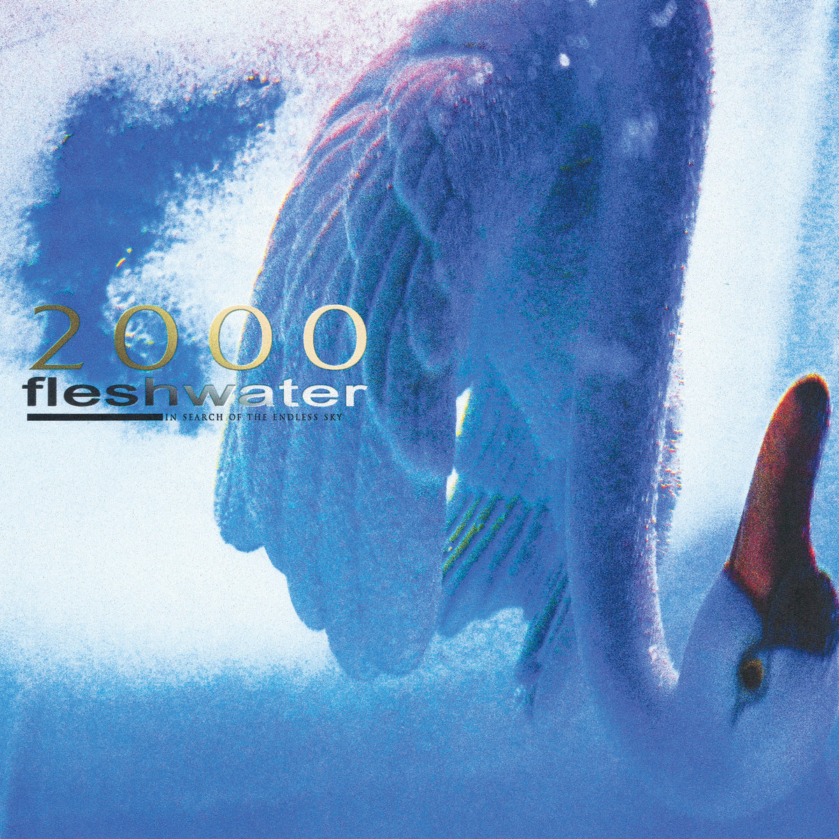 Fleshwater